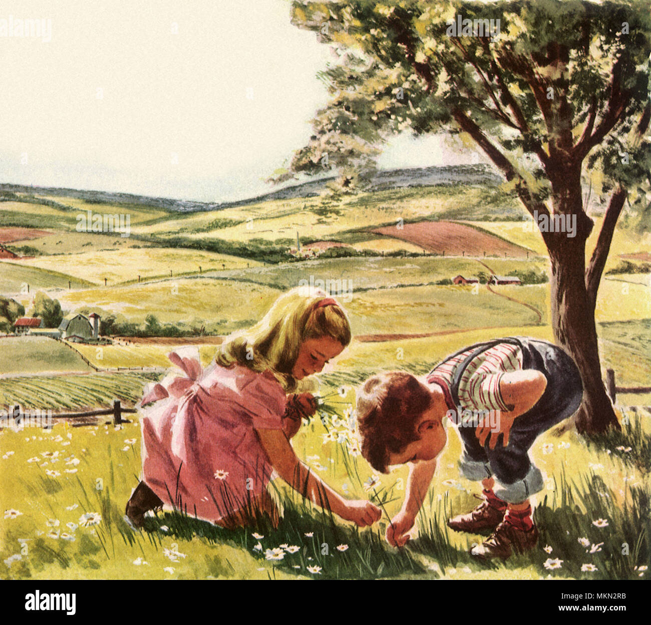 Kids Picking Daisies Stock Photo - Alamy