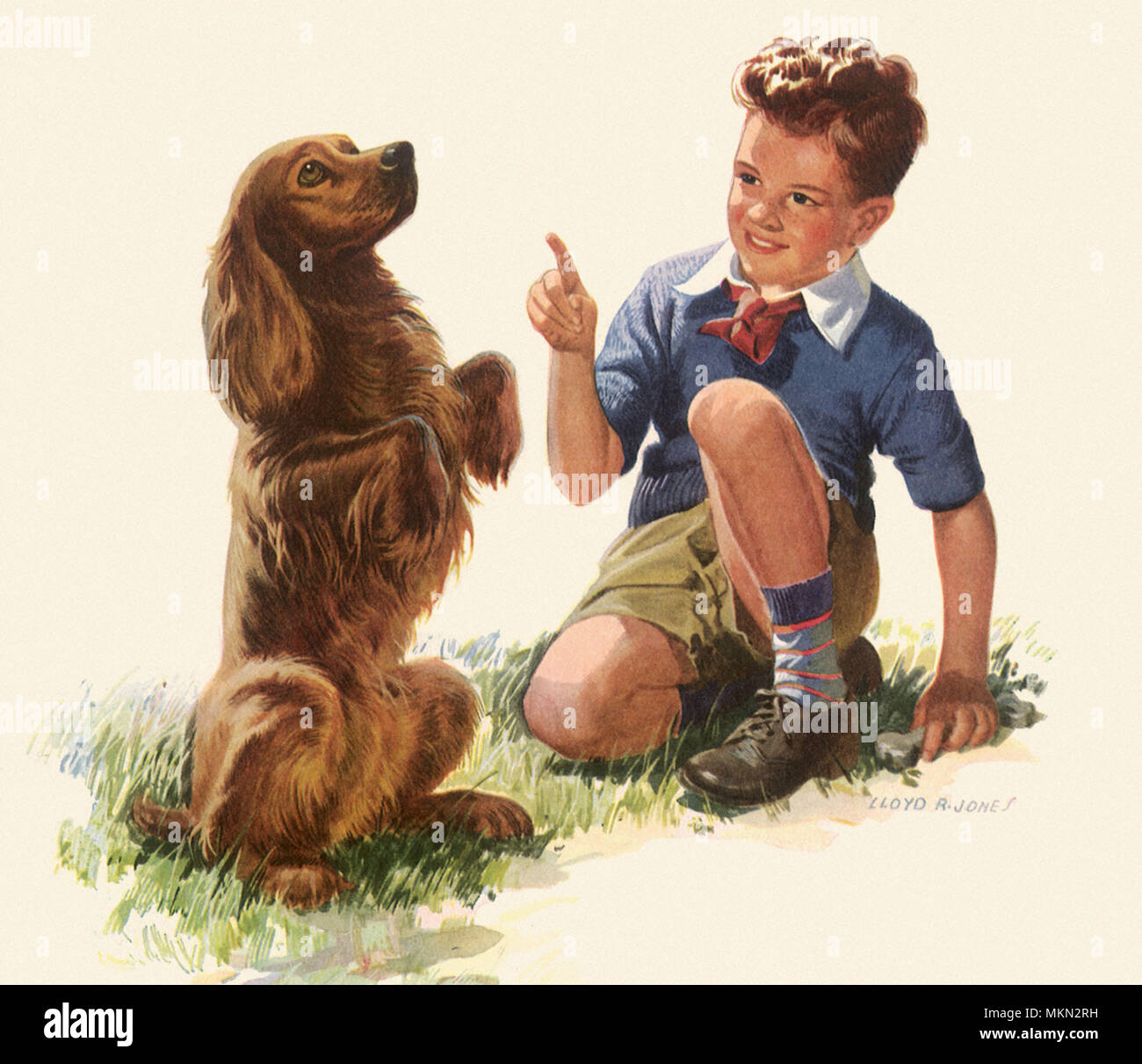 Boy Training Dog Stock Photo - Alamy