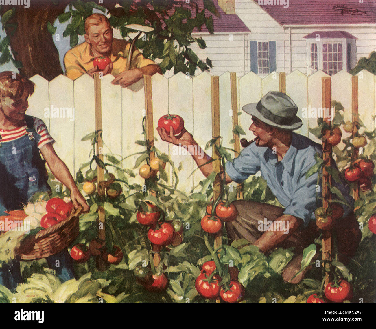 Neighbor's garden fence hi-res stock photography and images - Alamy