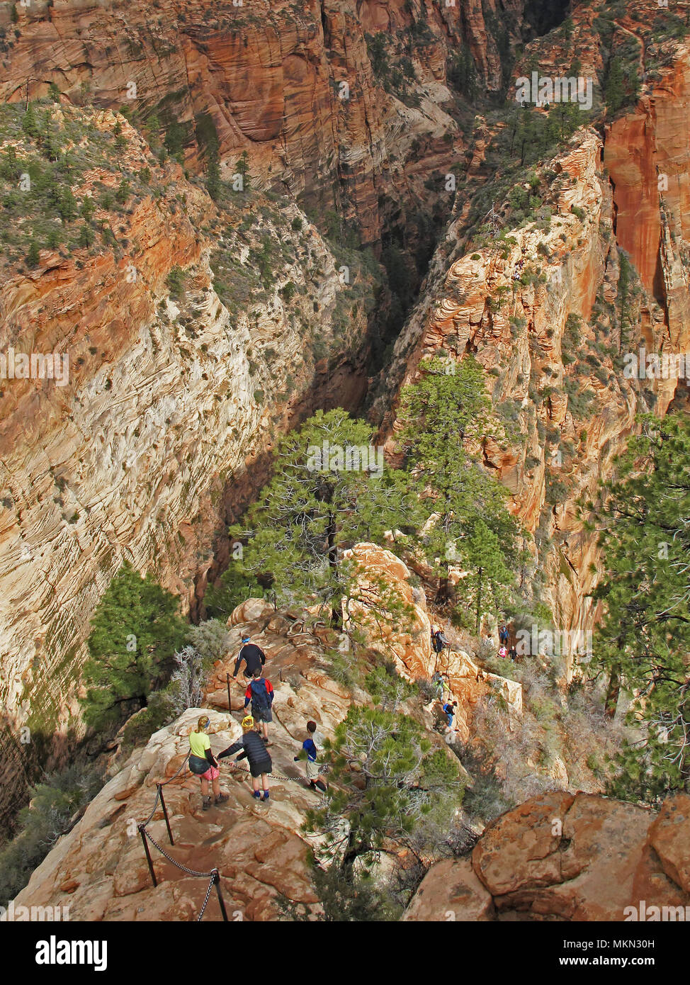 Hikers on double cliff trail to the top of landmark Angeles Landing ...