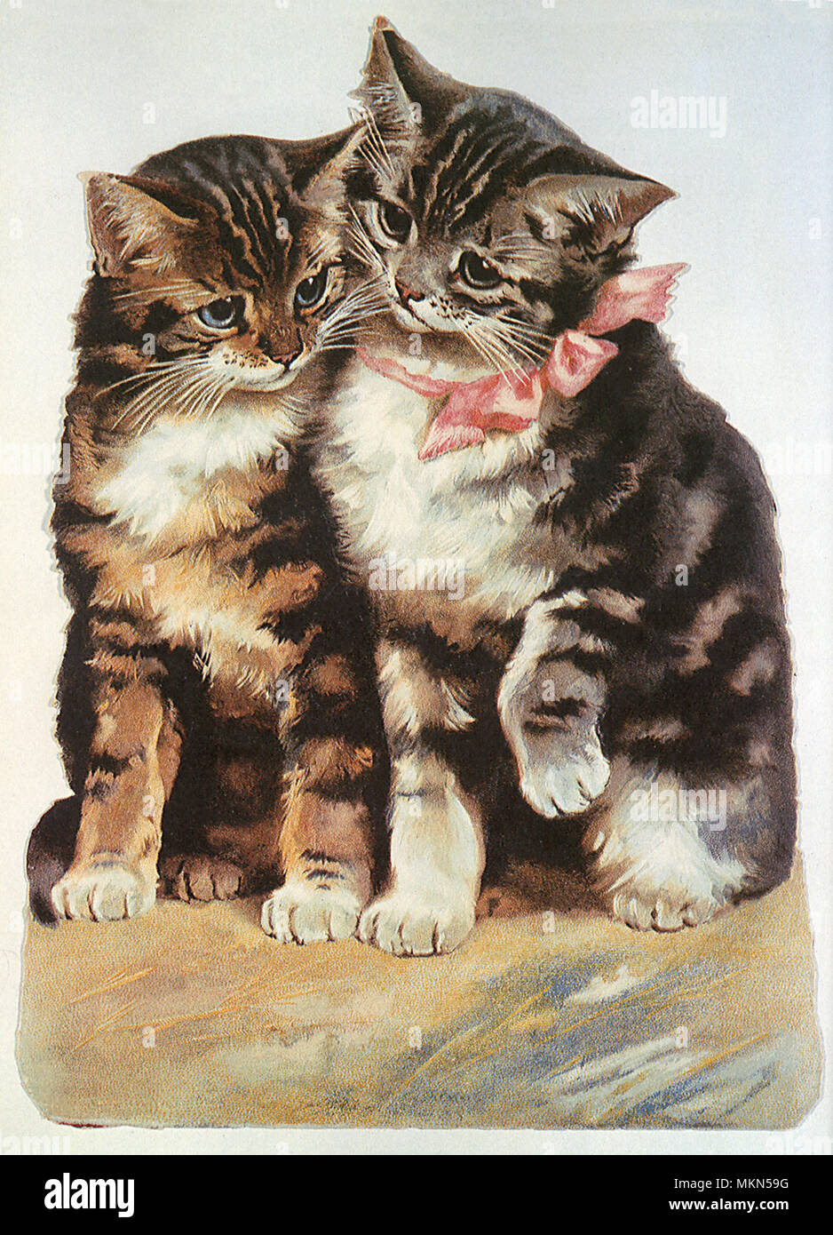 Tabby hi-res stock photography and images - Alamy