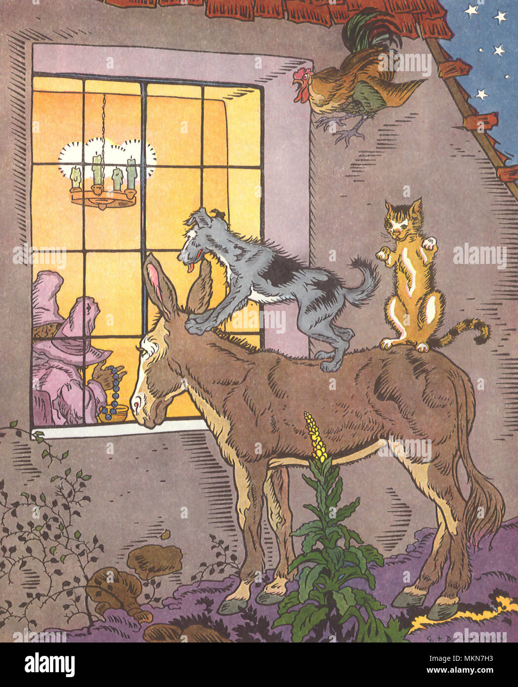 Back of musicians hi-res stock photography and images - Alamy