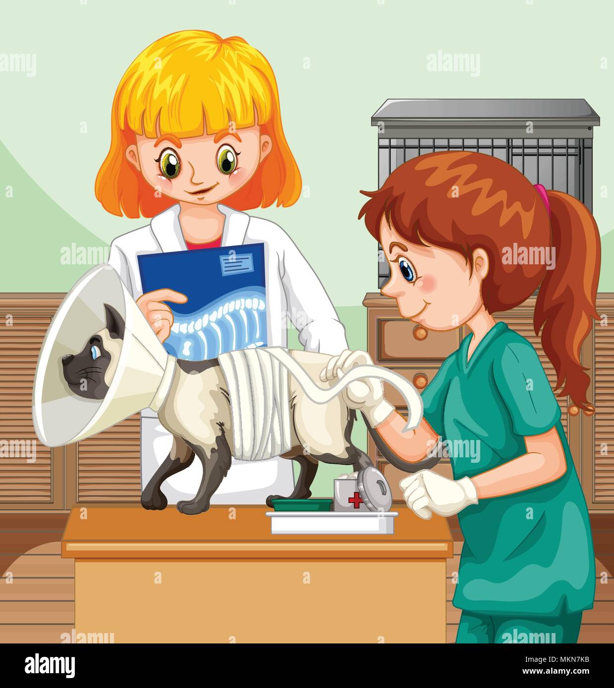 Veterinarian Doctor Helping a Cat illustration Stock Vector Image & Art ...