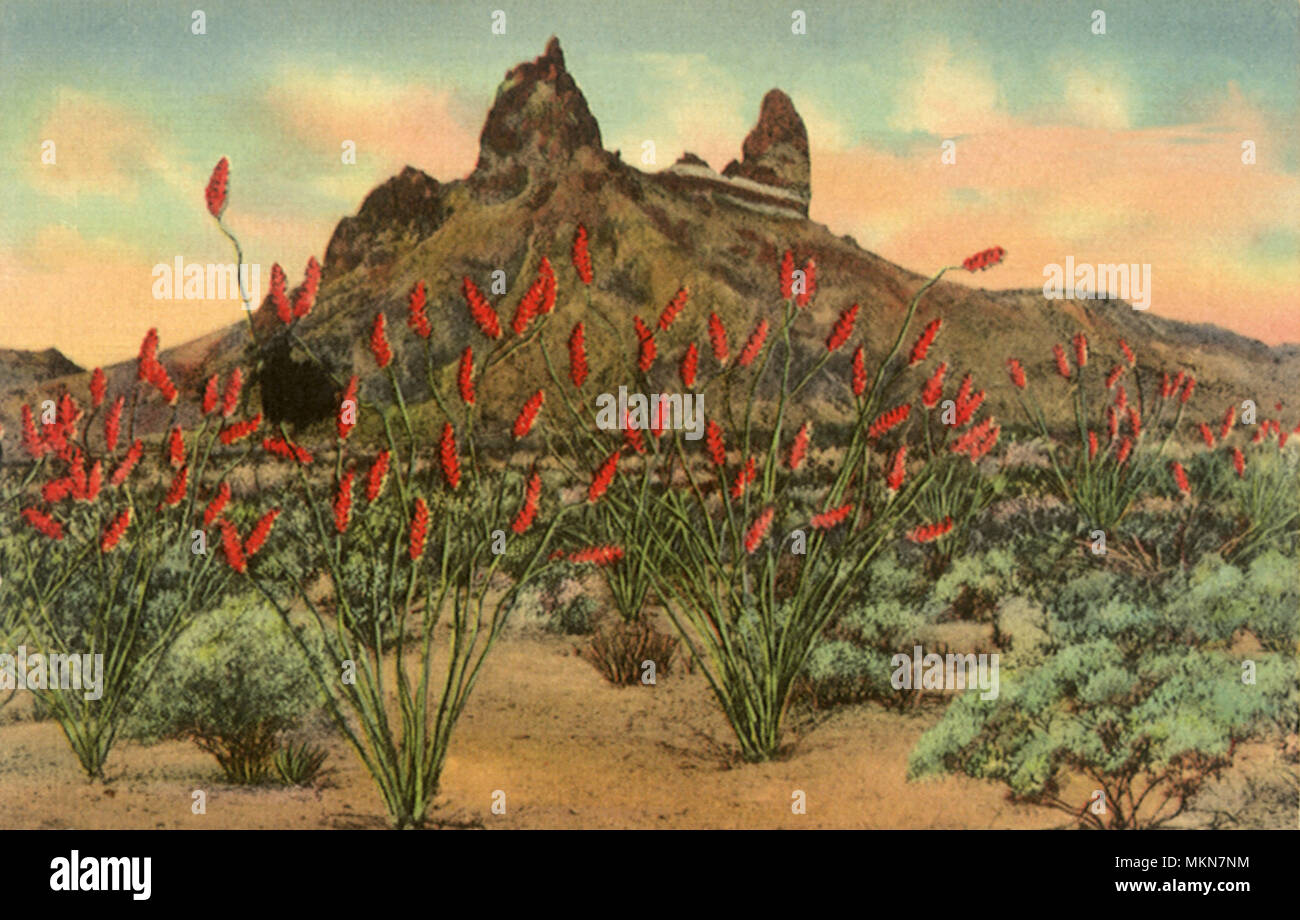 Mule ear peak hi-res stock photography and images - Alamy