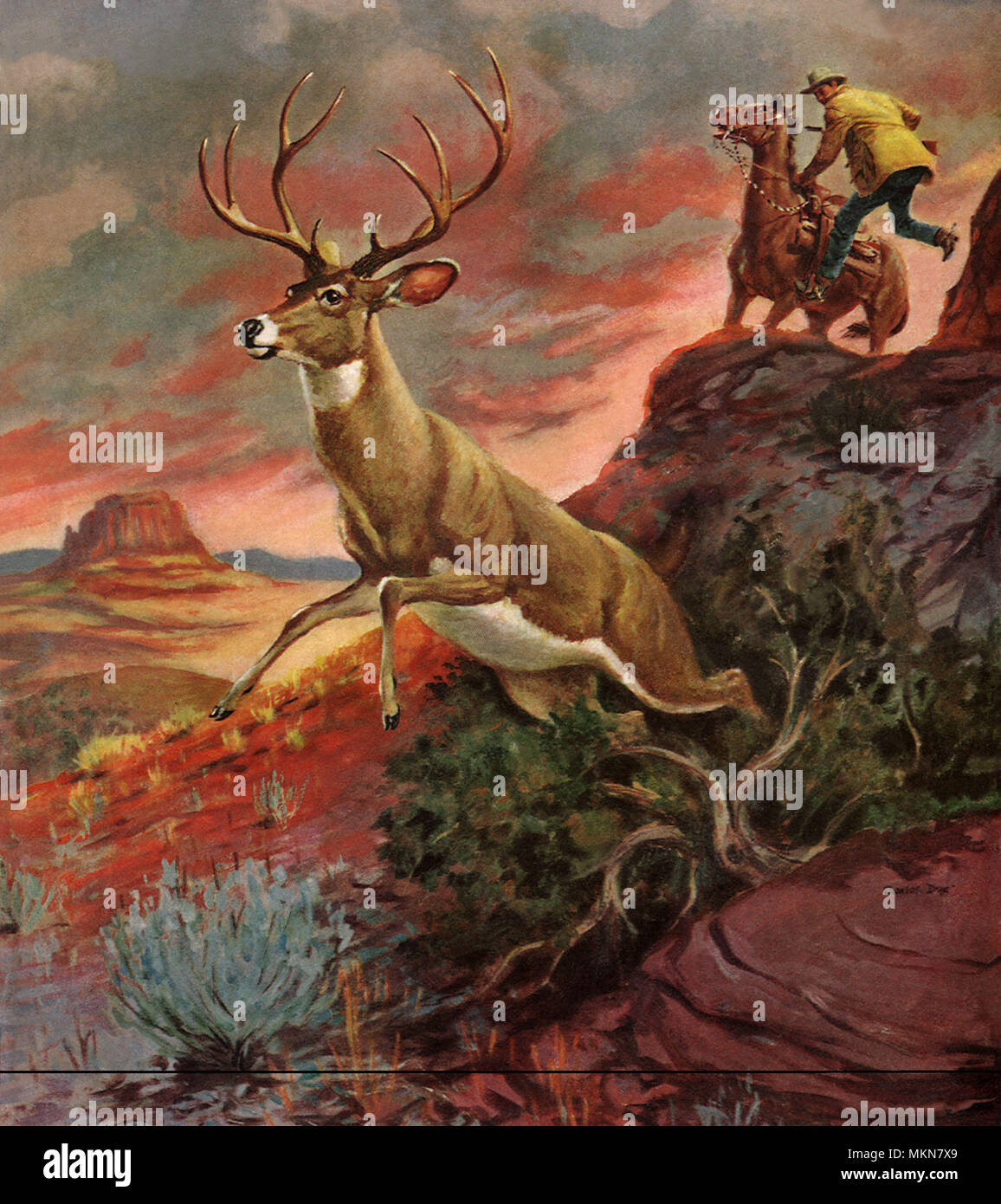 Hunting in the Desert Stock Photo - Alamy