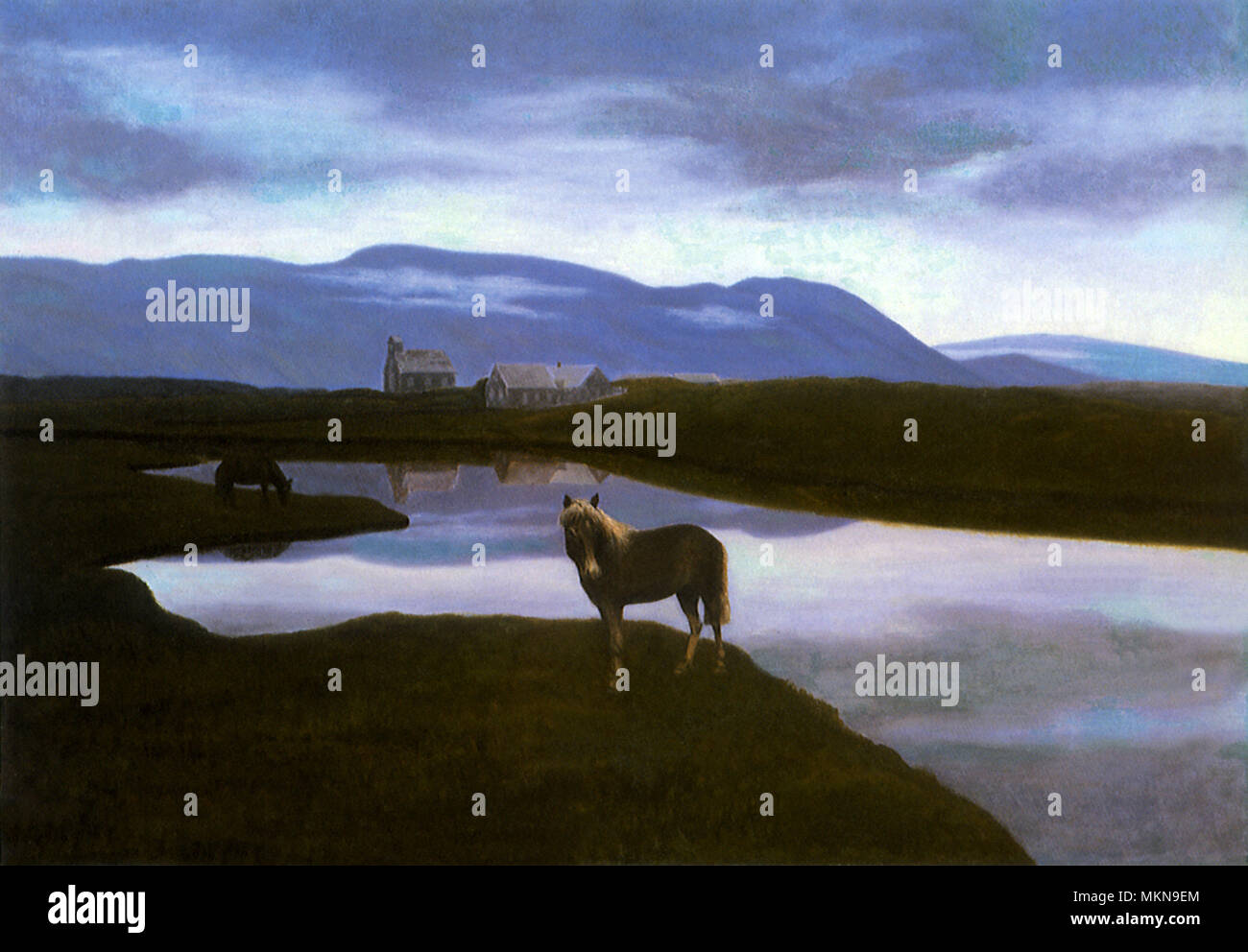 Marshy plain hi-res stock photography and images - Alamy