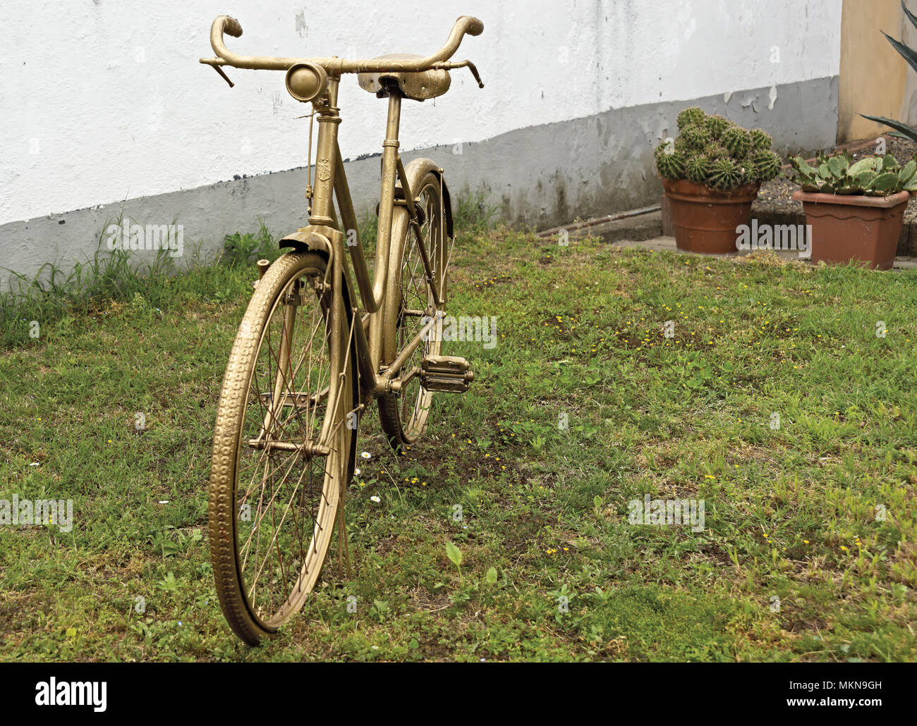 a golden bicycle in the garden 2 Stock Photo - Alamy