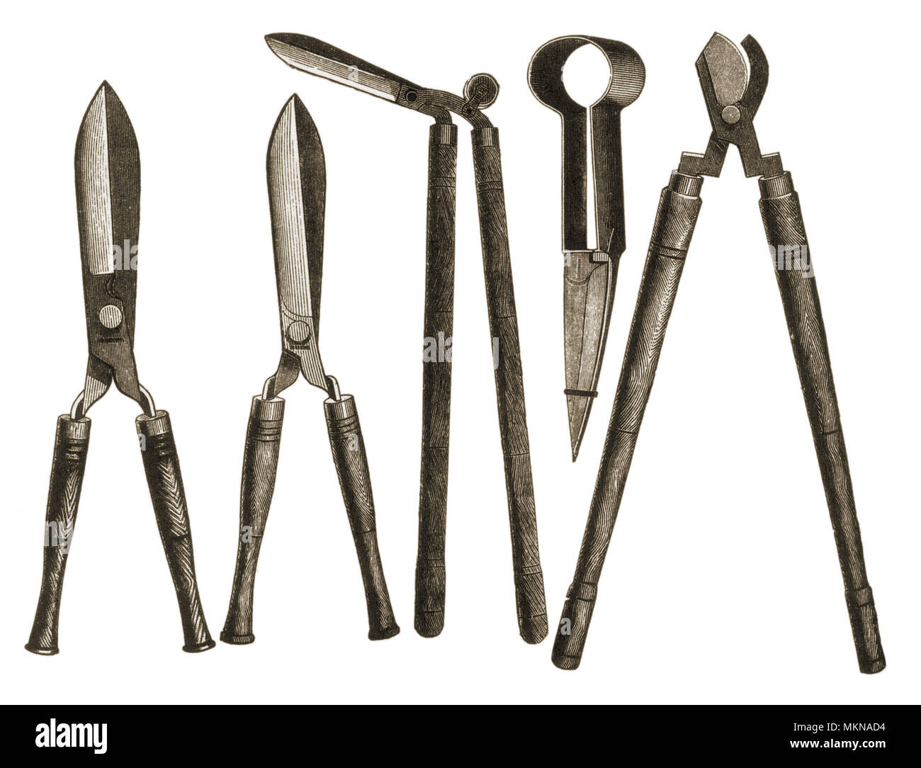 Vintage pruning shears Cut Out Stock Images & Pictures - Alamy