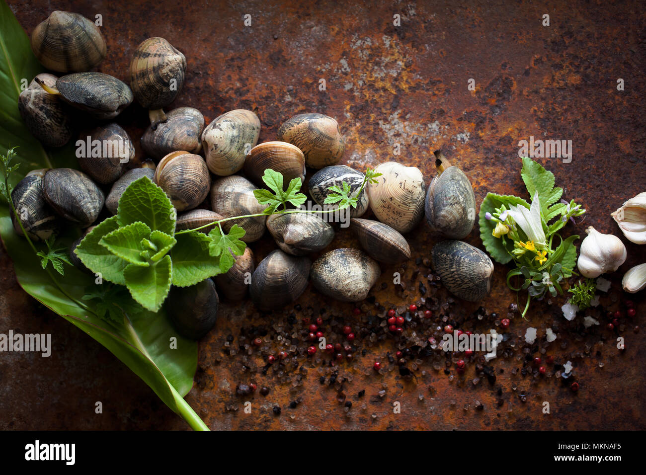 California Maki Roll Stock Photo - Alamy