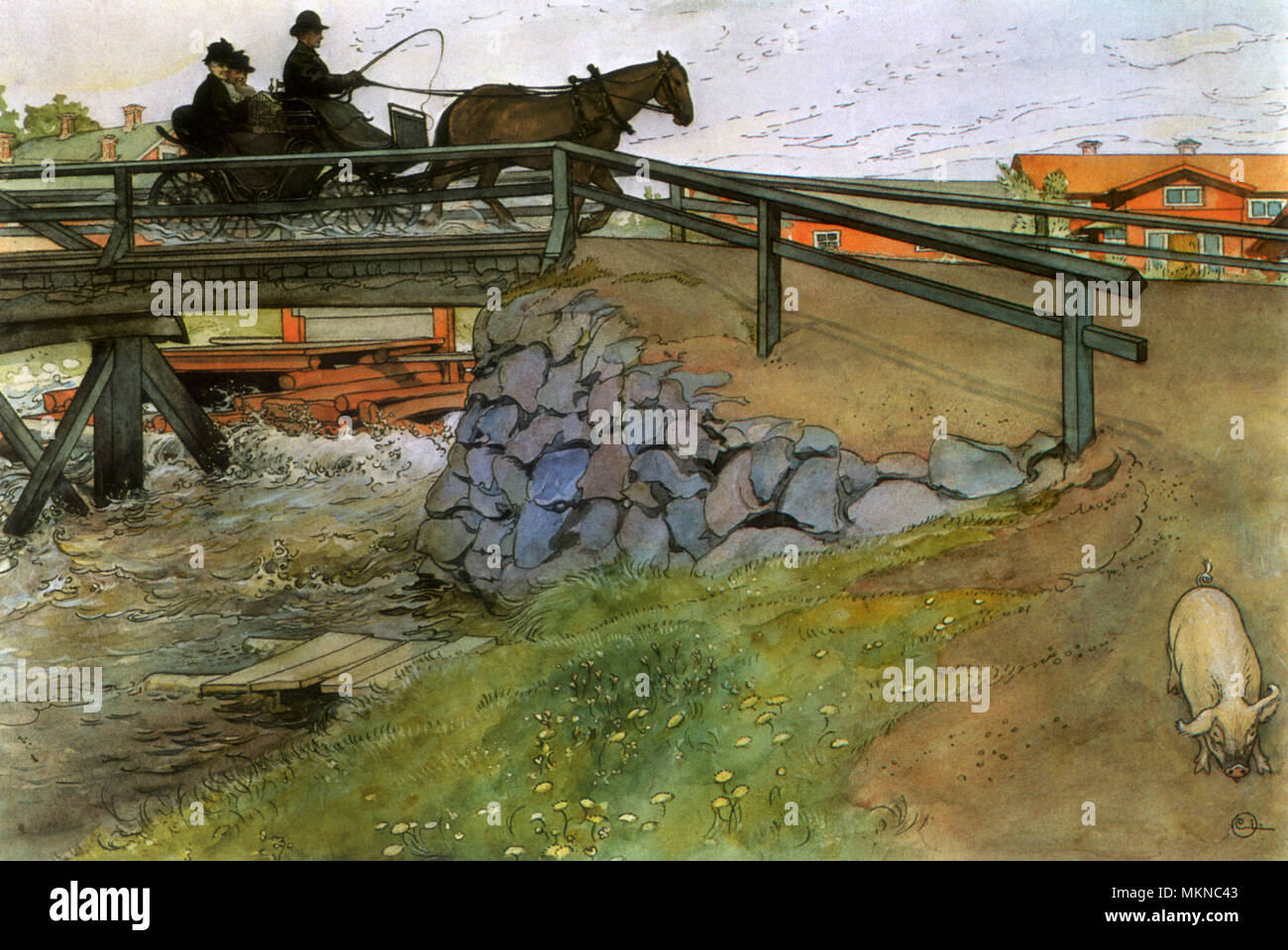 Pig bridge hi-res stock photography and images - Alamy