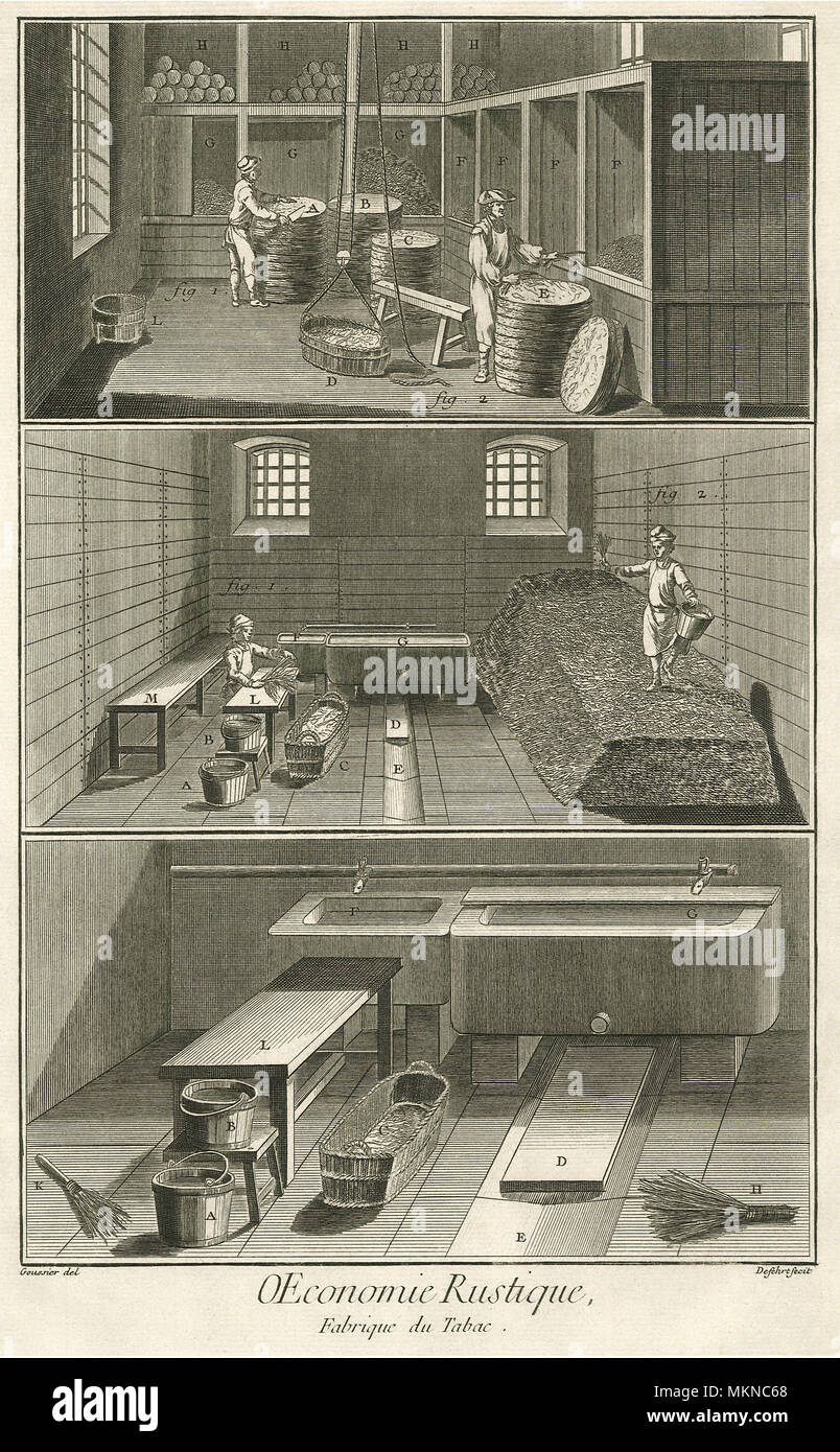 Tobacco processing hi-res stock photography and images - Alamy