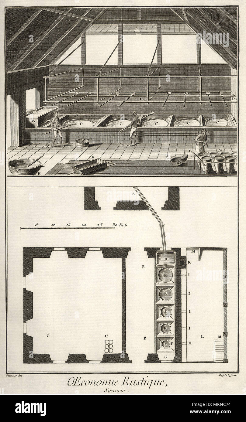 Sugar industry illustration hi-res stock photography and images - Alamy