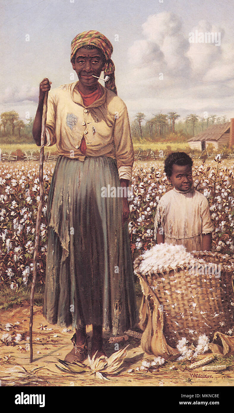 In the Cottonfields Stock Photo - Alamy