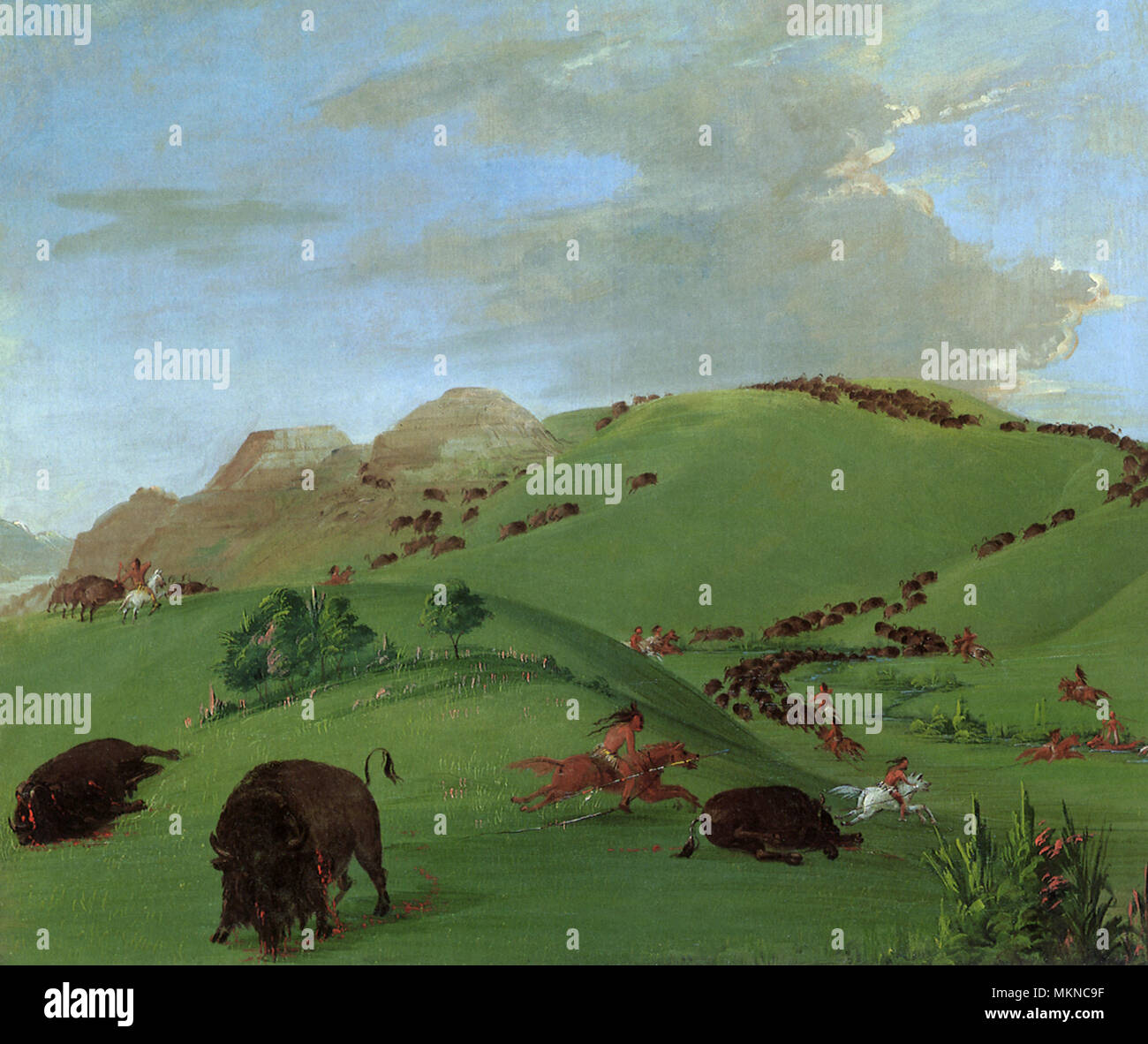 Native american indian buffalo hunting hi-res stock photography and ...