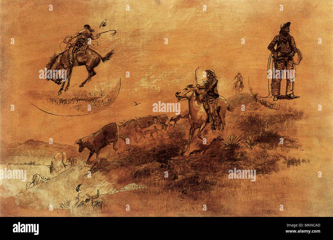 Bronco illustration hi-res stock photography and images - Alamy