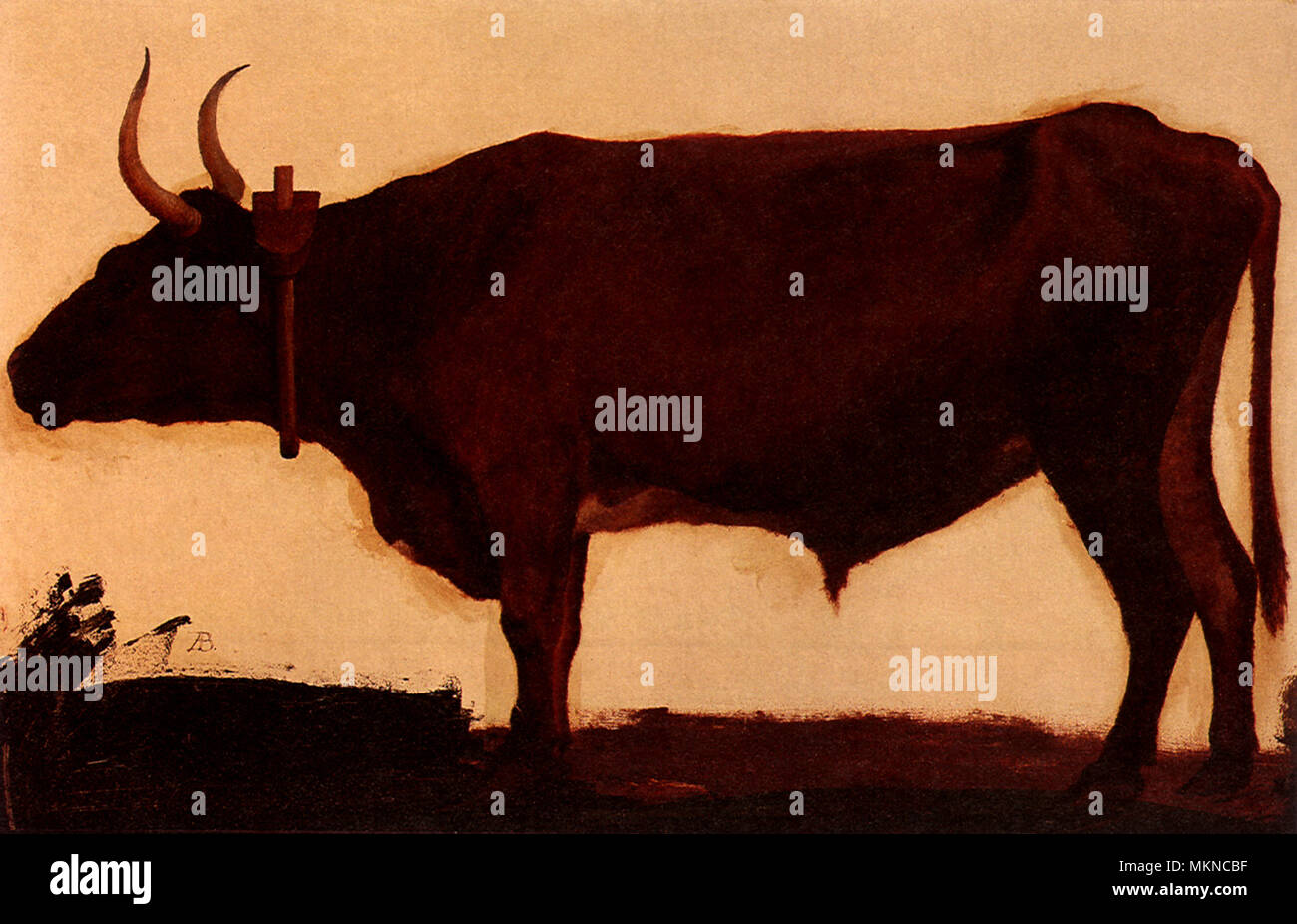 Ox ox hi-res stock photography and images - Alamy