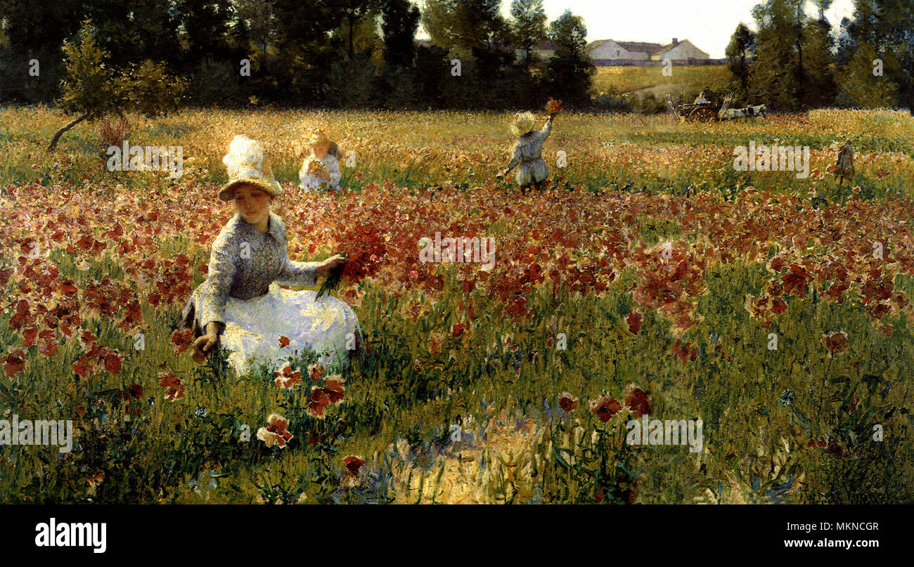 In Flanders Field Stock Photo - Alamy