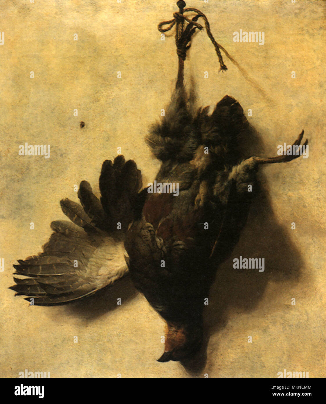 Dead partridge hi-res stock photography and images - Alamy