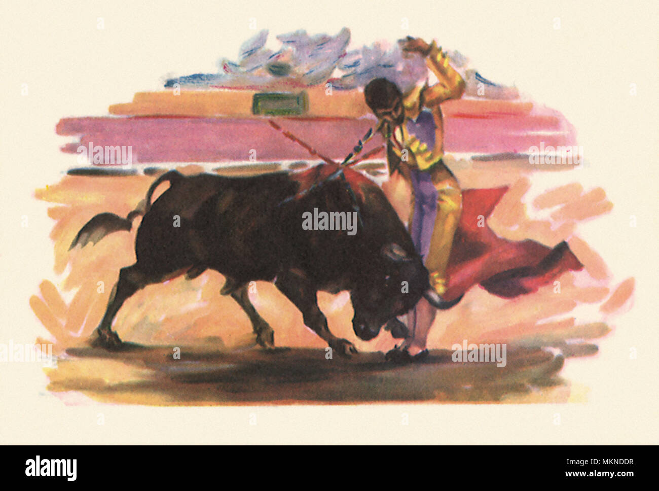 Bull stabbed hi-res stock photography and images - Alamy