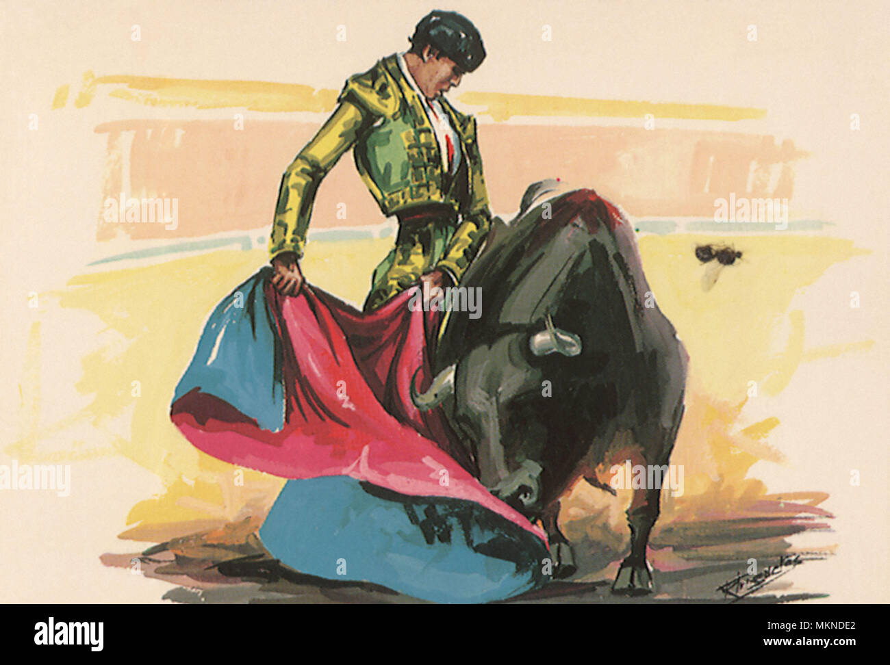 Matador bull charging hi-res stock photography and images - Alamy