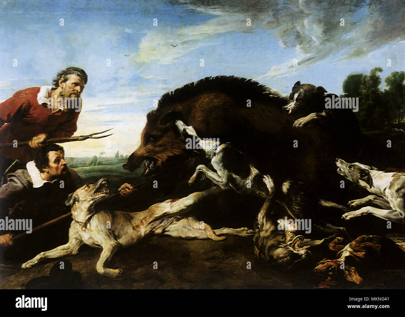 Wild Boar Hunt Stock Photo - Alamy