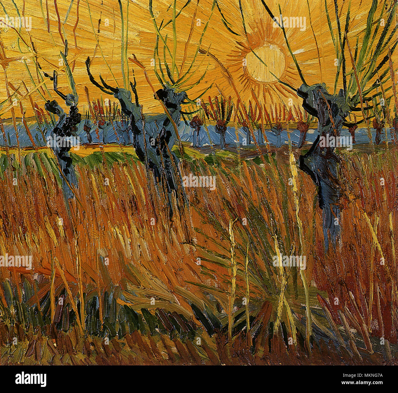 Pollard hi-res stock photography and images - Alamy