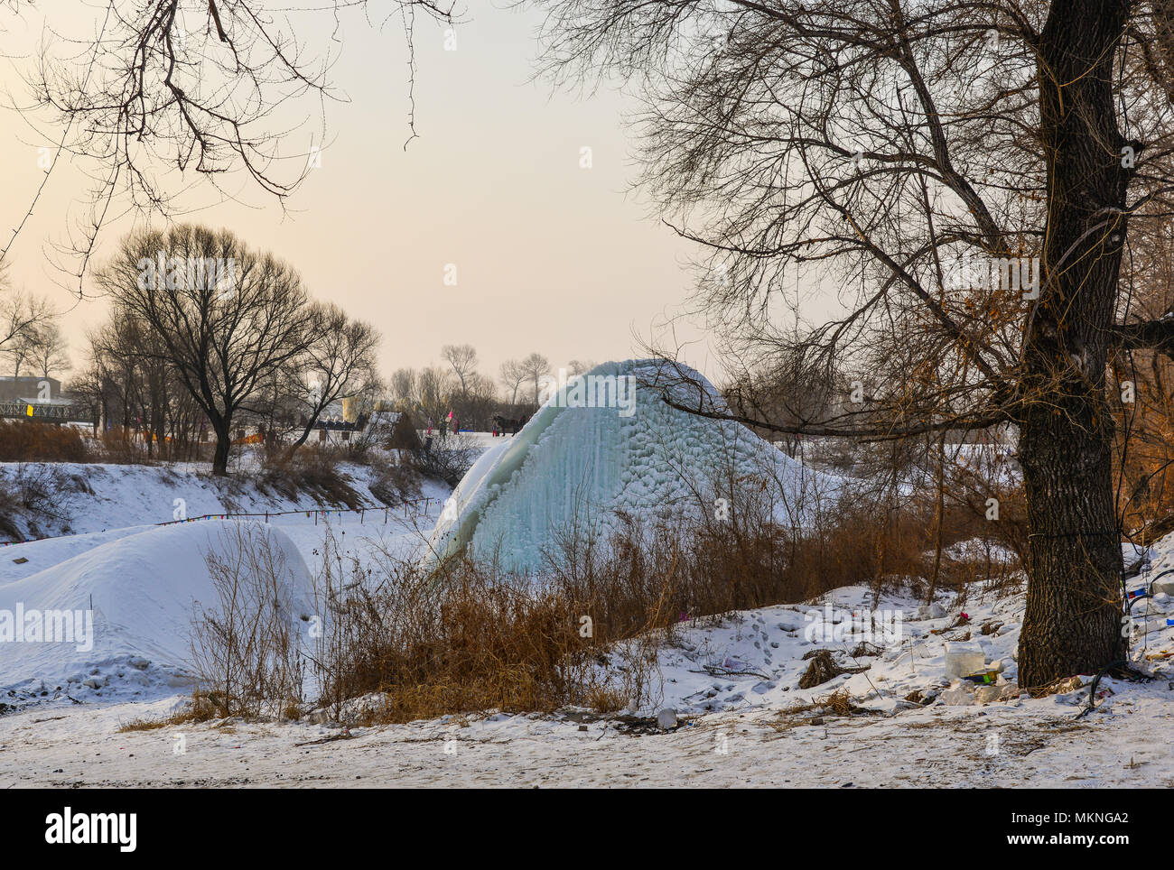 Natural park at winter in Harbin, North of China Stock Photo - Alamy