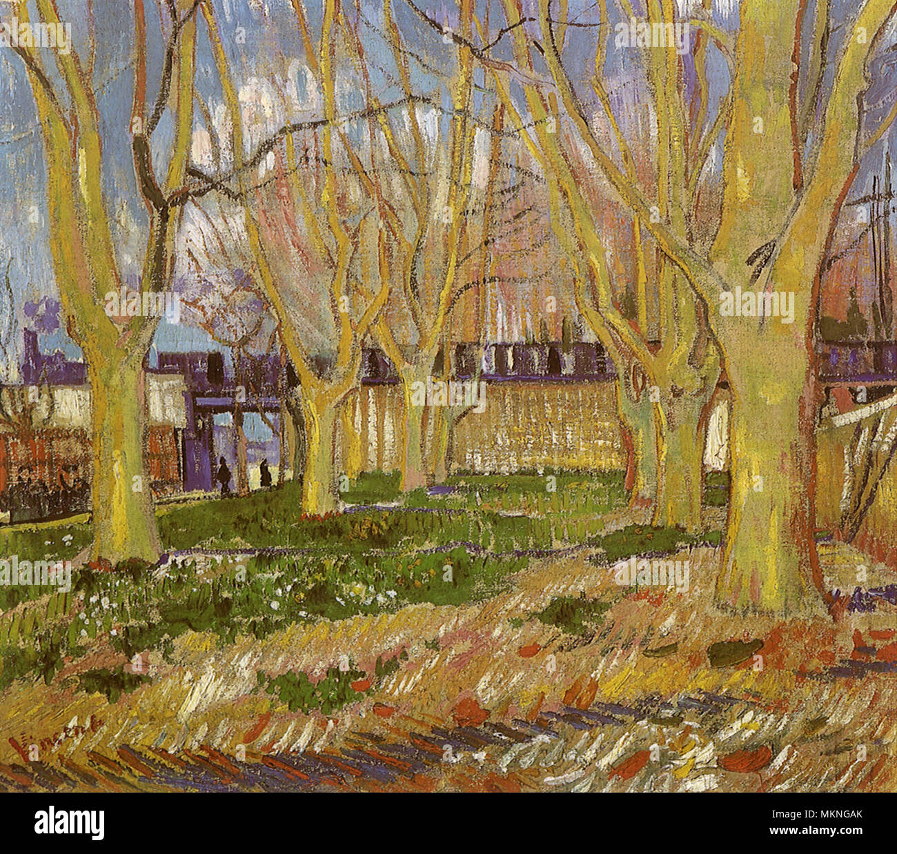 Avenue of Plane Trees near Arles Station Stock Photo - Alamy