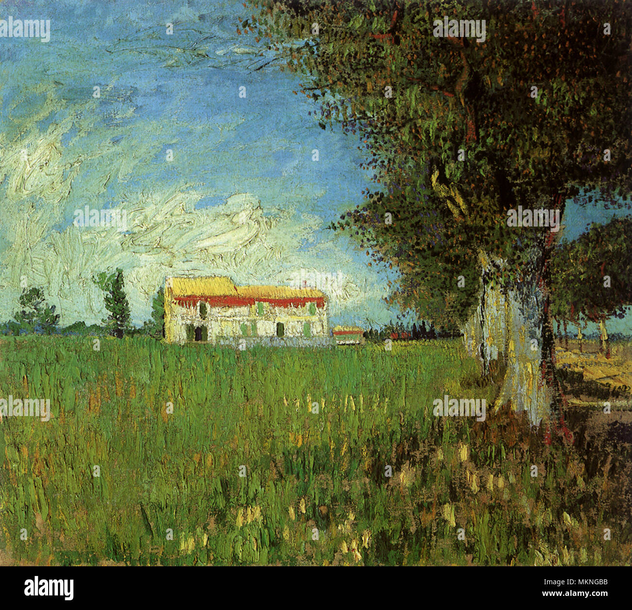 Farmhouse in a Wheat Field Stock Photo - Alamy