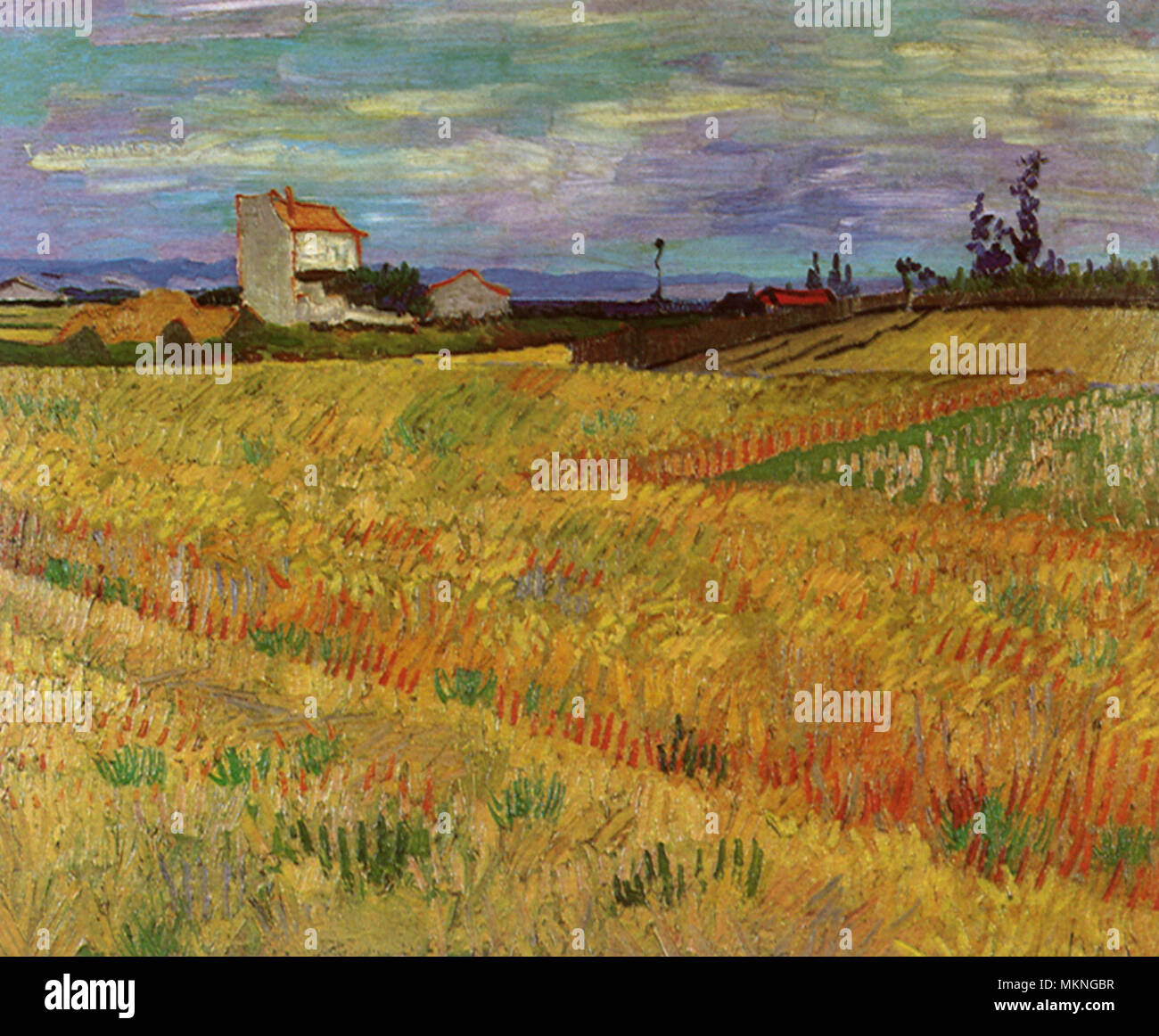 Field portraits hi-res stock photography and images - Alamy