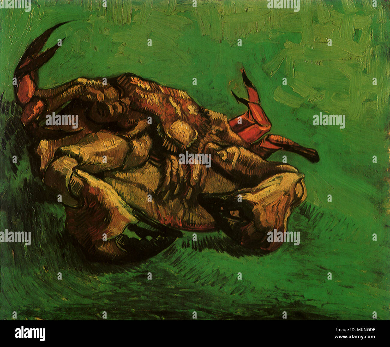 Emperor crab hi-res stock photography and images - Alamy