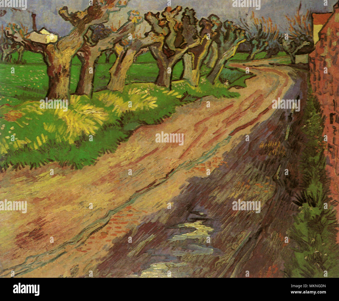 Pollard hi-res stock photography and images - Alamy