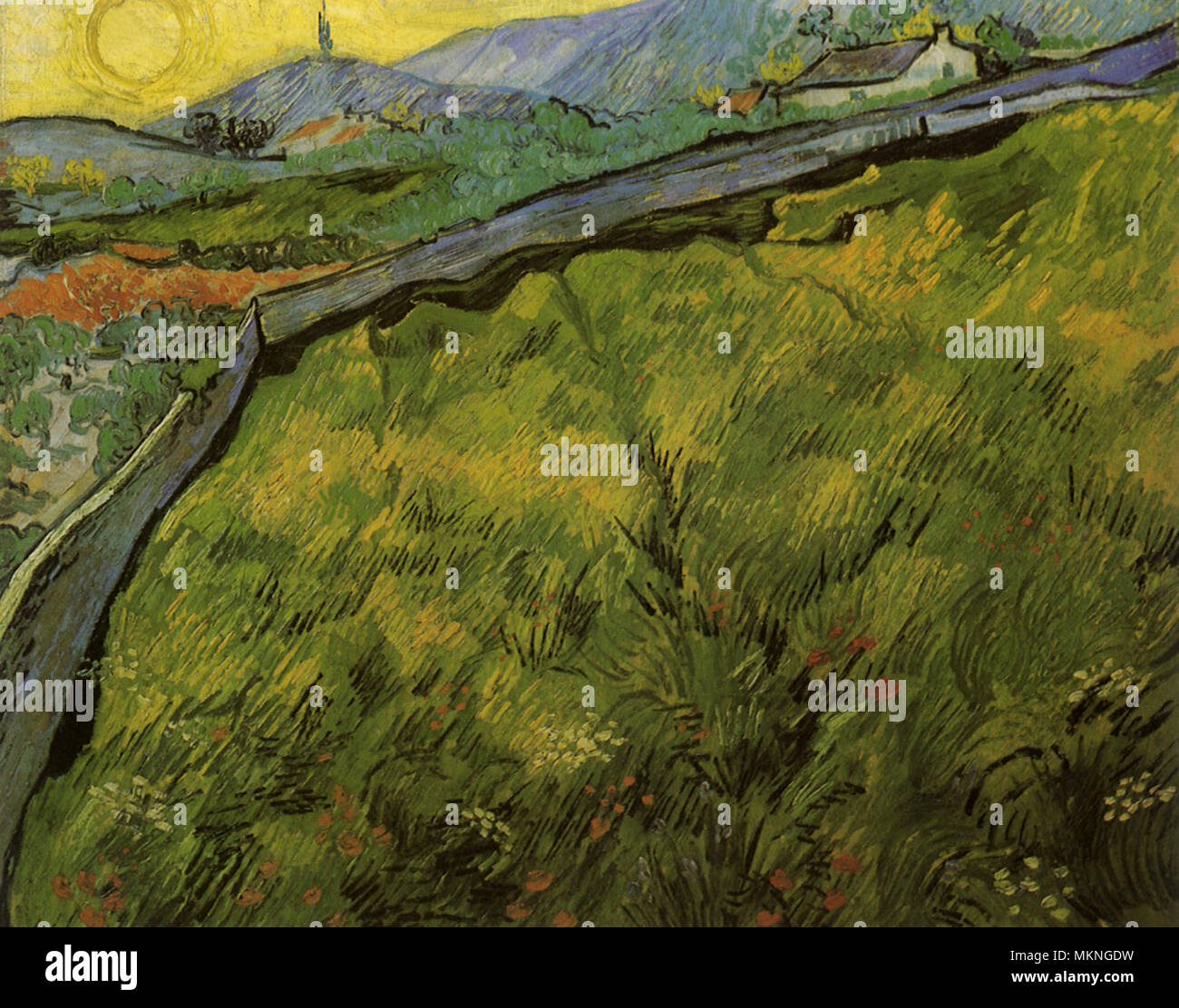 Field portraits hi-res stock photography and images - Alamy