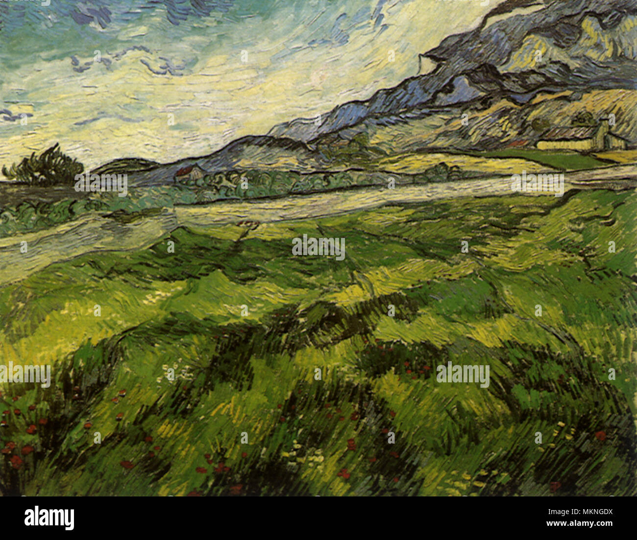 Wheat field by vincent van gogh hi-res stock photography and images - Alamy