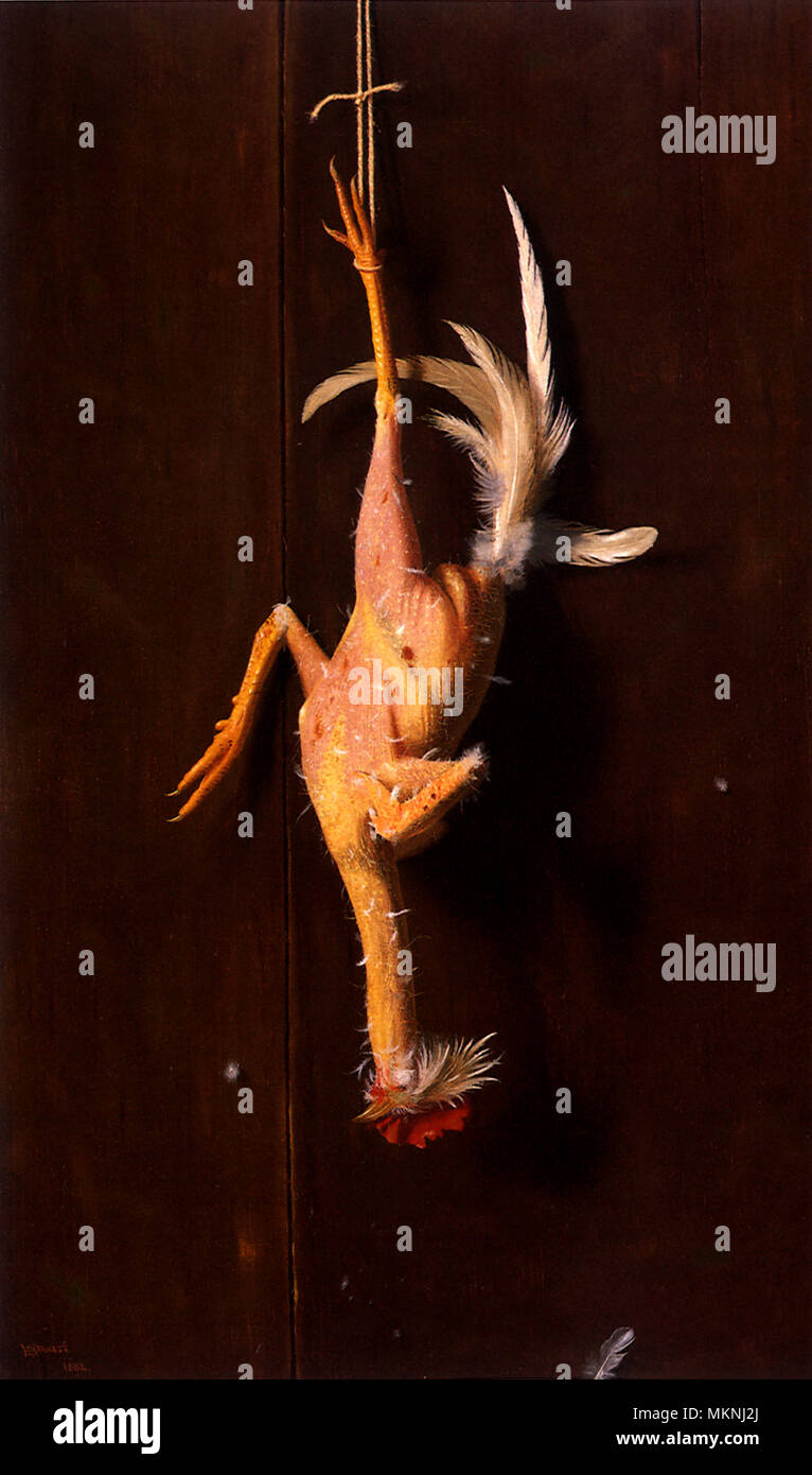 Plucked illustration hi-res stock photography and images - Alamy