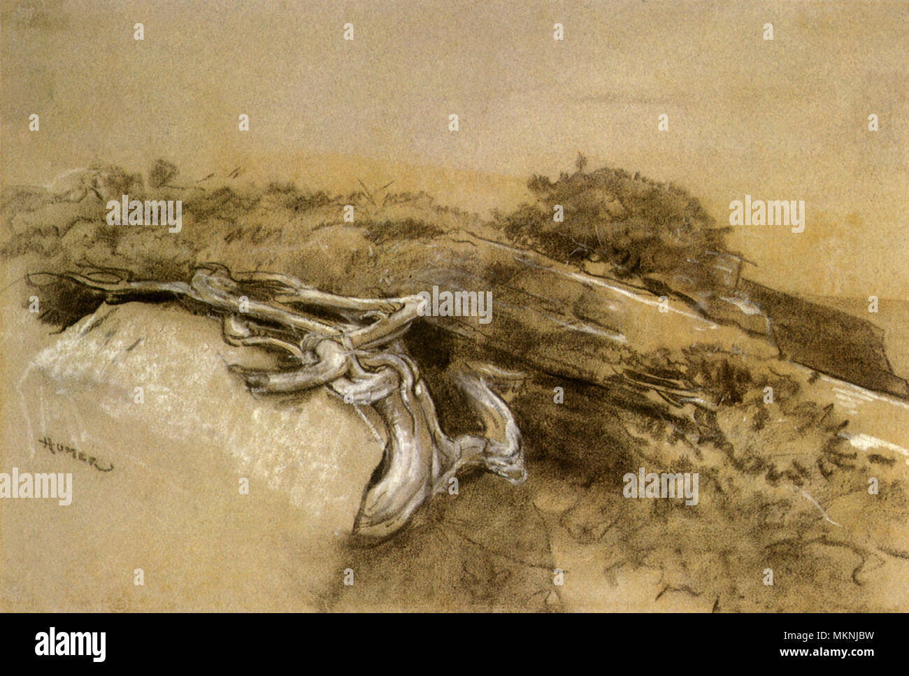 American roots hi-res stock photography and images - Alamy