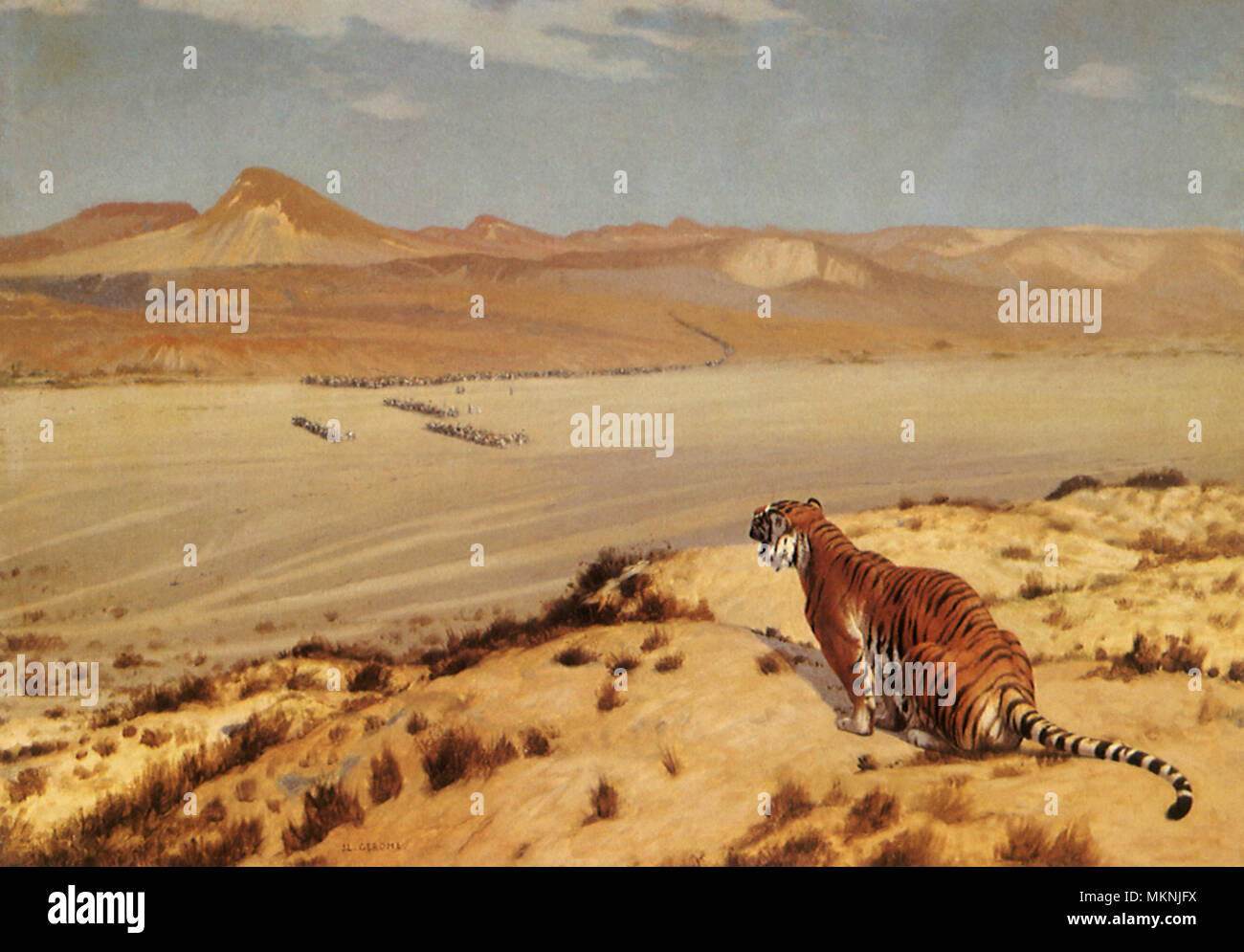 Tiger on the Watch Stock Photo - Alamy