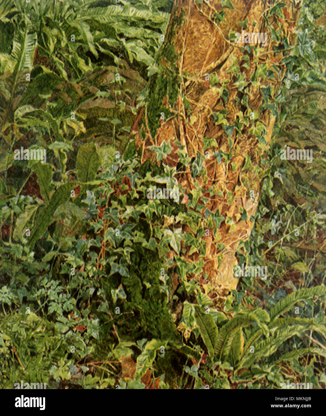 Victorian ash hi-res stock photography and images - Alamy