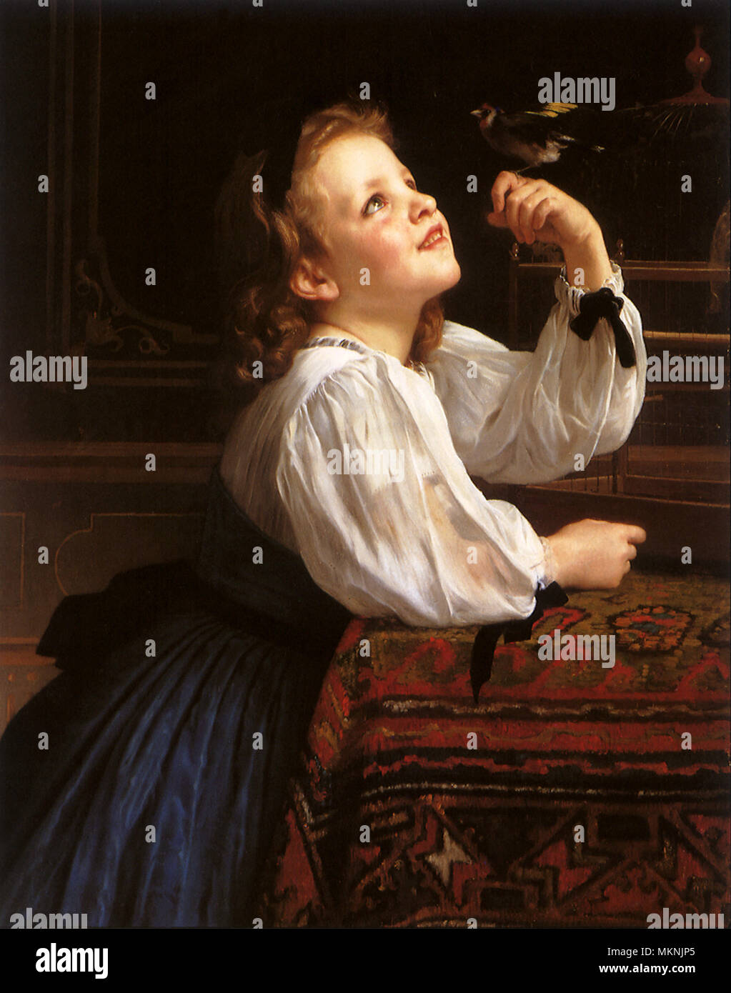 The Pet Bird Stock Photo - Alamy