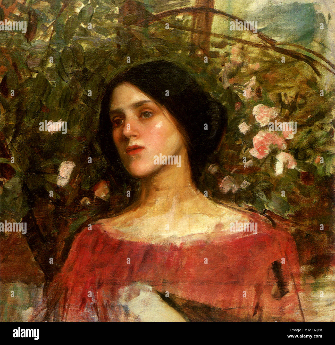 Rose gallery hi-res stock photography and images - Alamy