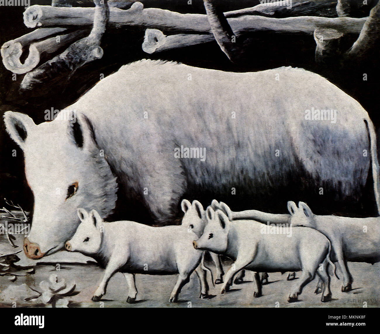White Sow with Piglets Stock Photo - Alamy