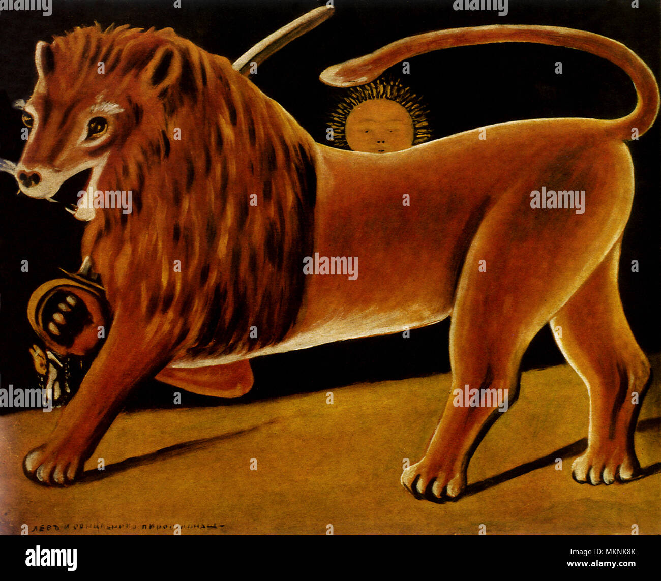 European lion hi-res stock photography and images - Alamy