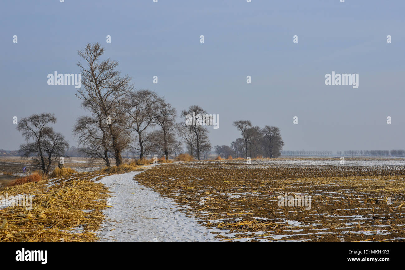 Natural park at winter in Harbin, North of China Stock Photo - Alamy