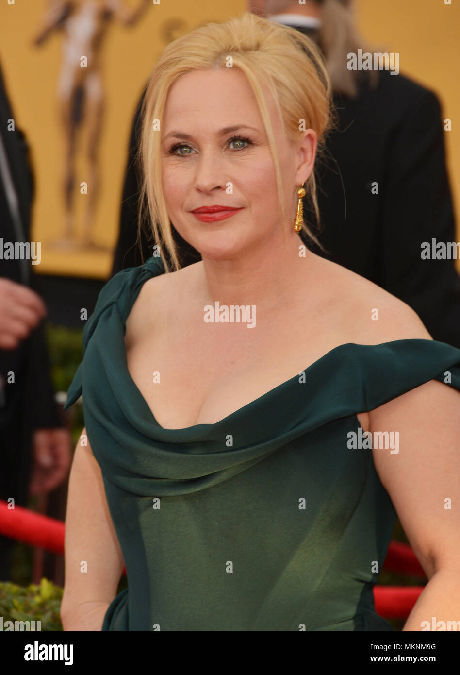 Patricia Arquette 227 at the 21Th SAG Awards 2015 at the Shrine ...