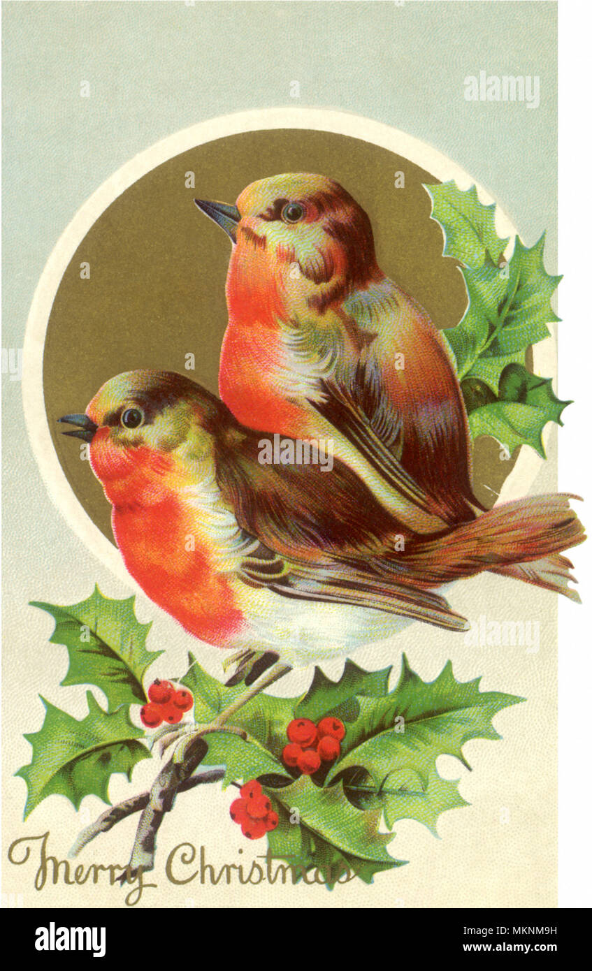 Two Birds on Branch Stock Photo - Alamy