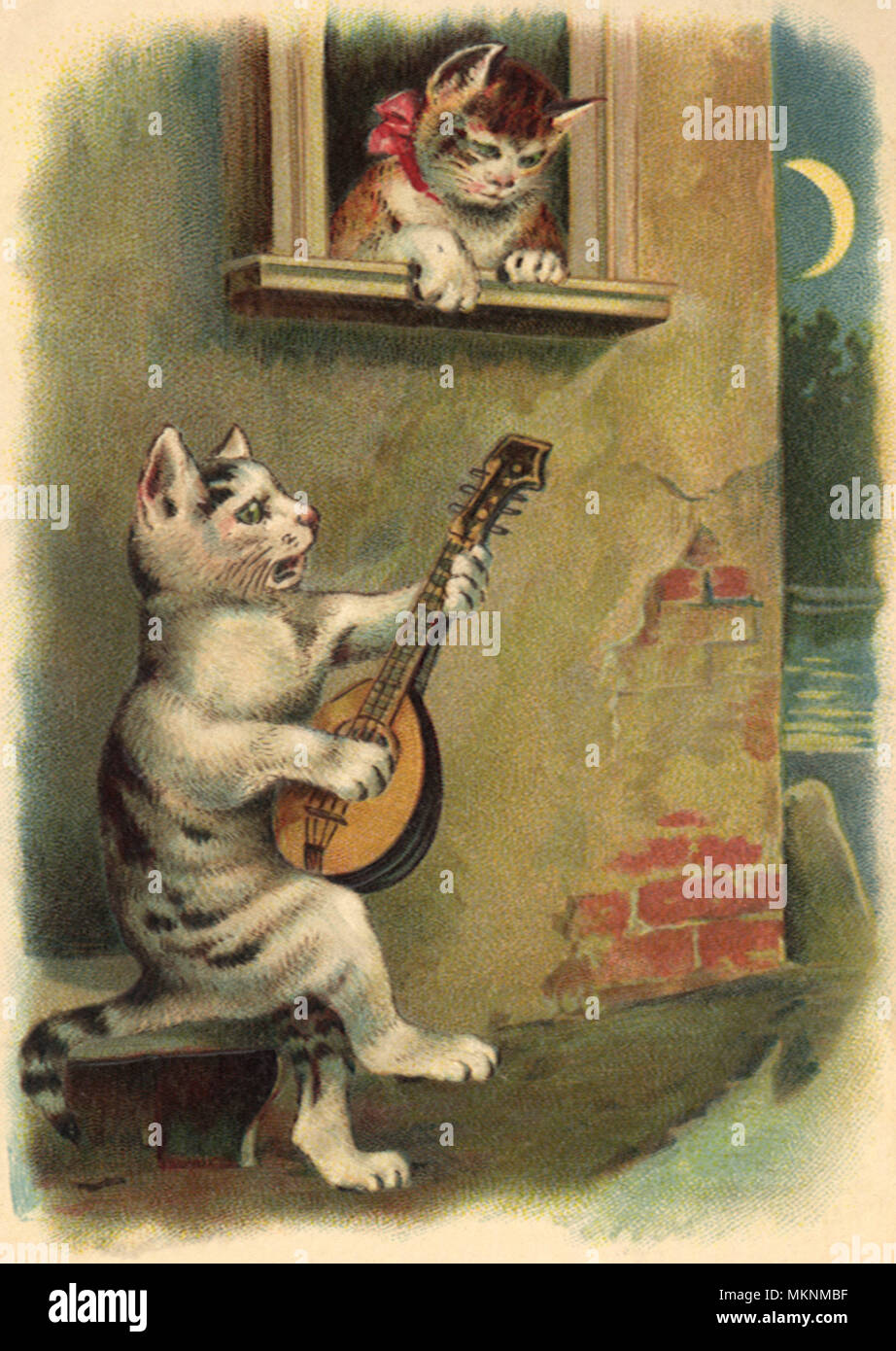 Male serenading female hi-res stock photography and images - Alamy