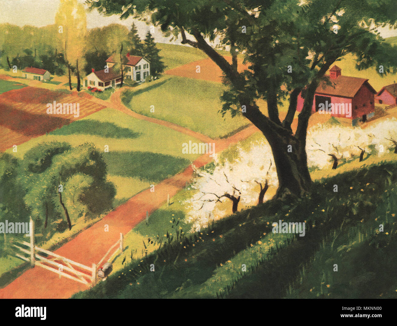 Bucolic Farm Scene Stock Photo - Alamy