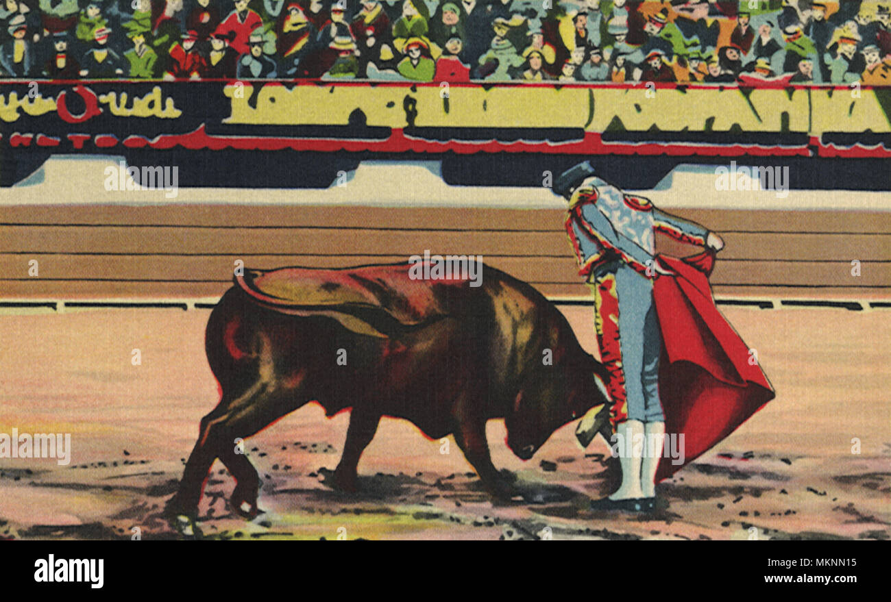 Matador and the Bull Stock Photo - Alamy