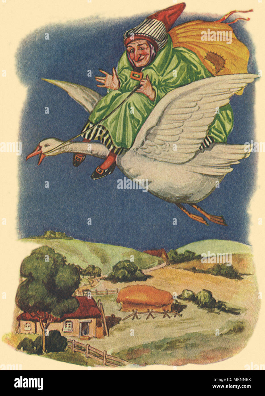 Flying Mother Goose Stock Photo - Alamy
