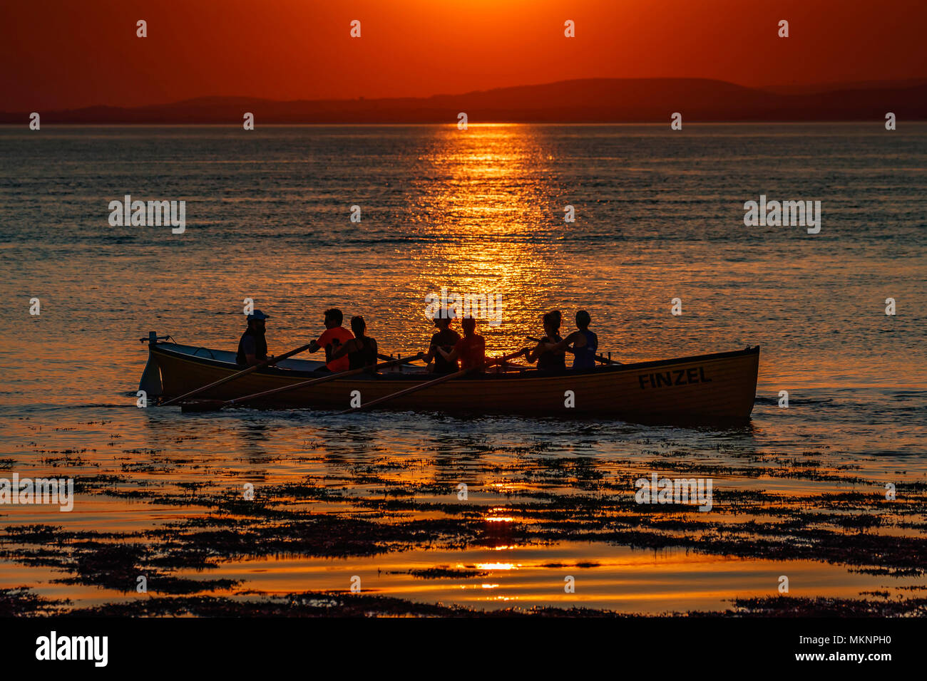 Pilot Gig Finzel coming into Clevedon slipway at sunset Stock Photo - Alamy